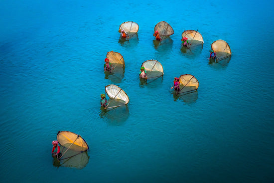 Resilience – Caleo Consulting